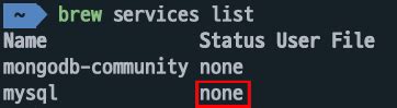 Node js MySQL 접속