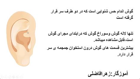 درس ششم علوم پنجم چه خبر1 گوش