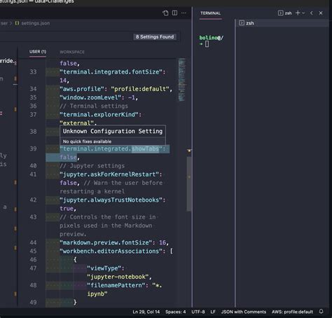Terminal Integrated ShowTabs Setting Is Not Recognized Anymore And Terminal Display Tab Issue