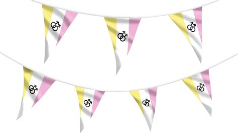 Twink Pride Bunting Hampshire Flag Company