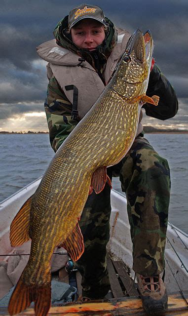 Jerkinarmy Old Woman Jerking Off