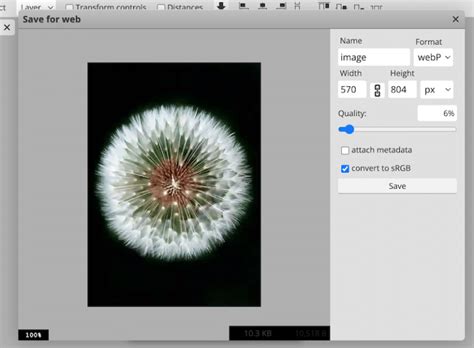 Lossy Vs Lossless Image Compression Whats The Difference