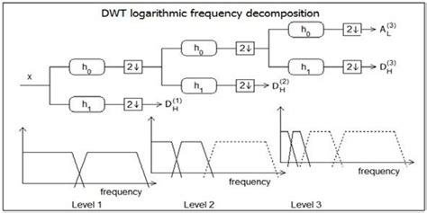 1 dwt decomposition filtering process download scientific diagram