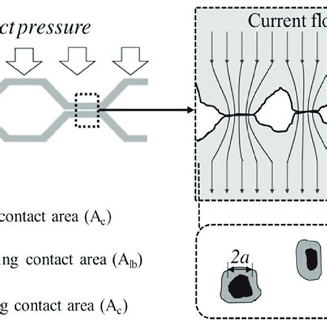 Electrical Surface Contact Model With Asperities And Conducting Contact Download Scientific