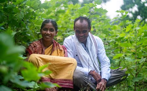 Farmer Stories Ganeshwar Organic Cotton Accelerator