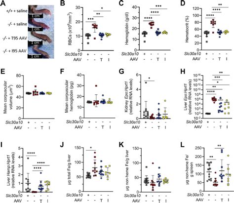 Aav Mediated Hepatic Expression Of Slc30a10 And The Thr95ile Variant Attenuates Manganese Excess