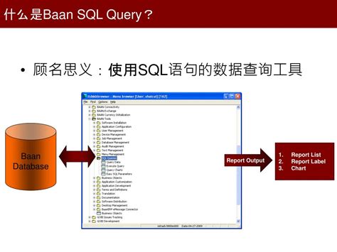 Ppt Baan Sql Query 初级教程 Powerpoint Presentation Free Download Id4243797