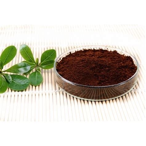 Professional Supplier For Broken Ganoderma Lucidum Spore Powder Nutra Green