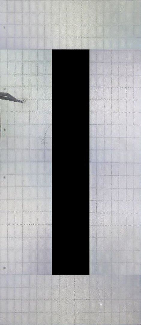 result of panoramic mosaic algorithm download scientific diagram