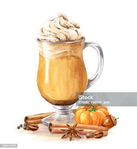흰색 배경에 계피와 커피 콩수화 호박 향신료 라떼 수채화 가을 계절 음식 일러스트 수채화에 대한 스톡 벡터 아트 및 기타 이미지 수채화 펌킨 스파이스 라떼 계피