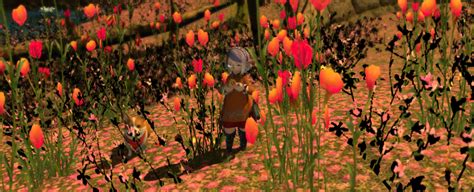 Fall Fantasies Eorzea Collection Fall Fantasies Eorzea Collection