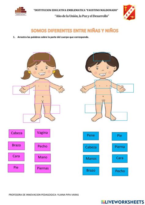 Las Partes Del Cuerpo De Una Niña Worksheet Partes Del Cuerpo Preescolar Cuerpo Humano Para