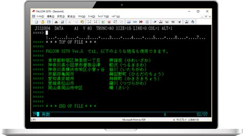 IBMメインフレーム接続用端末エミュレーター FALCON 3270 Ver 5インターコム
