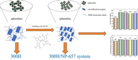 Polymer Engineering And Science Vol 64 No 11