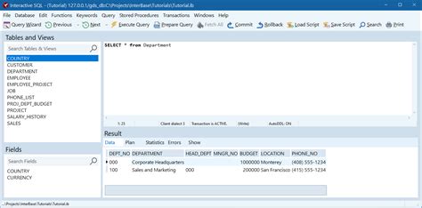 interbase quick start part iii inserting data interbase