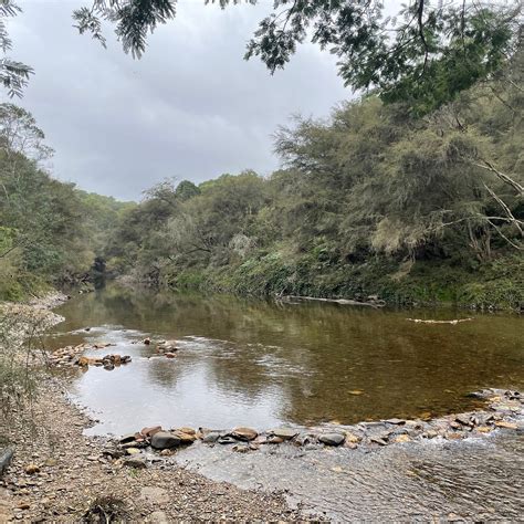Doctors Creek Reserve All You Should Know Before Going 2026 With