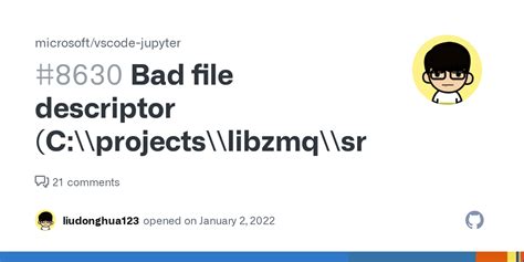 Bad File Descriptor C Projects Libzmq Src Epoll Cpp Issue Microsoft Vscode