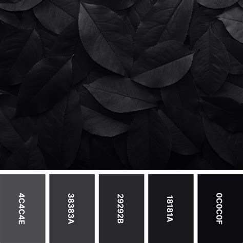 Dark Colors Dark Color Palettes