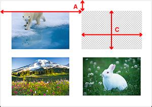 Canon Inkjet Manuals Professional Print Layout Adjusting Margins And Slot Sizes