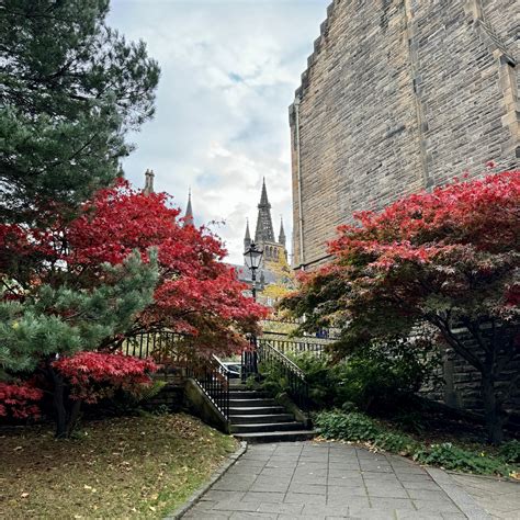 University Of Strathclyde Online Careers Service Our Career Service