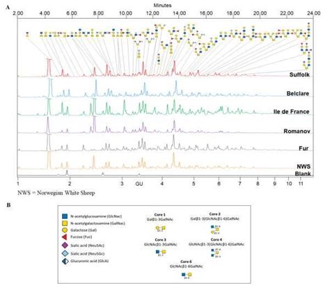 A Representative Flr Hilic Uplc Chromatograms Of O Glycans Released Download Scientific