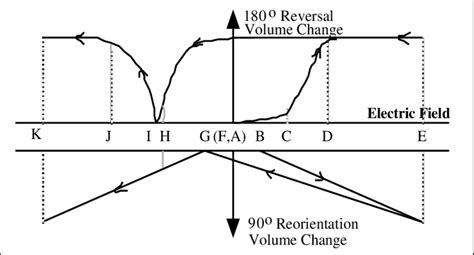 41 Polarization Reversalreorientation Model For Explaining The Loss