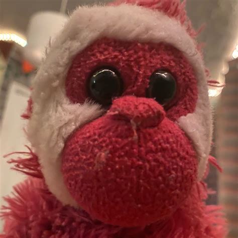 Boiled Monkey Youtube