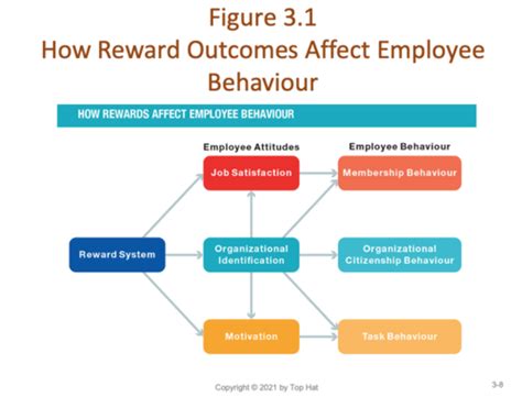 Comp And Ben Chapter 3 A Behavioural Framework For Compensation Flashcards Quizlet