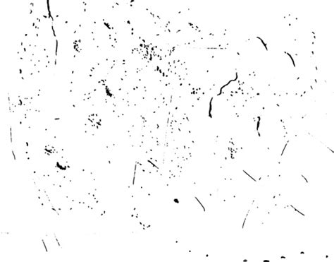 Speckle Free Vector Download 18 Free Vector For Commercial Use