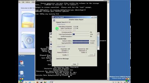 How To Configure Ibm Tsm Server Side Deduplication Tsmtutorials
