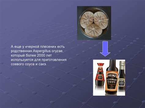 Плесень. Вред и польза - online presentation