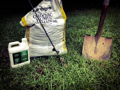 How To Break Up Clay Soil Without Tilling 5 Steps Guide 2025