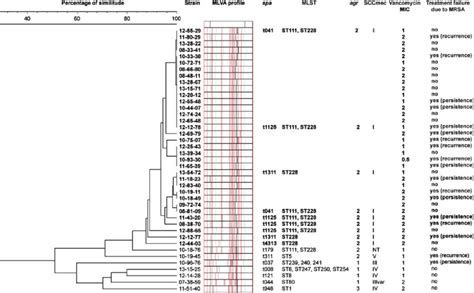 Genetic Characterization And Vancomycin Minimum Inhibitory Download Scientific Diagram