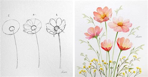 Drawing Flowers Step By For Beginners Best Flower Site
