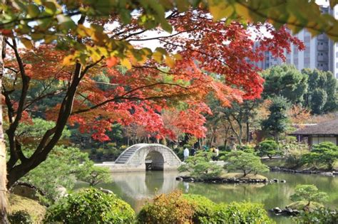 Shukkeien Garden Hiroshima Attractions Japan Travel