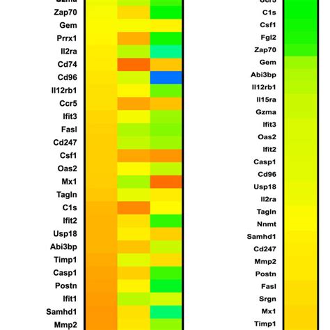 Sex Specific Altered Expression Of Inflammation Genes In Mutants A