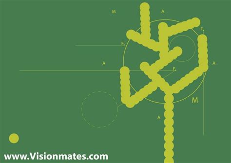 Biology Free Vector | FreeImages