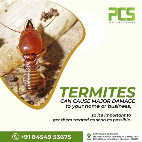 Anti Termite Soil Treatment Sizediameter 12 Inch In Mumbai