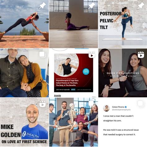 My Top 5 Insta Accounts To Follow For Flexibility Education — Dani Winks Flexibility