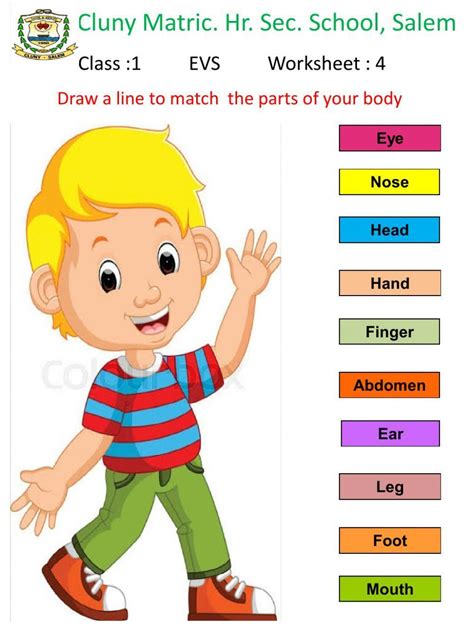 Class 1 Evs 4 Worksheet Live Worksheets