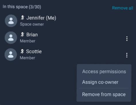 Managing Access Permissions In A Space VIVERSE For Business Help Center