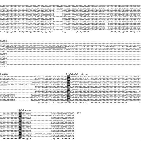 multiple alignment of partial cdna sequences spanning the 3 end of the download scientific