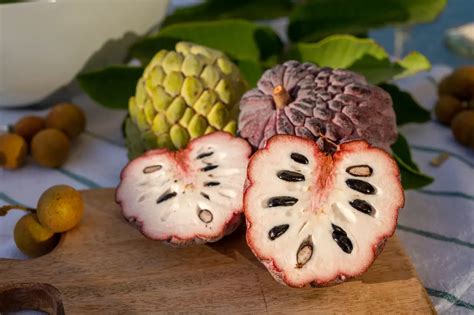Cherimoya Pflanzen Pflegen Und überwintern