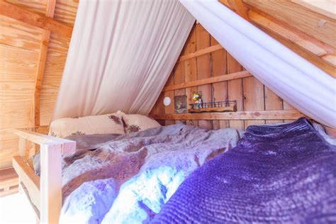 Swallowtail Treehouse Tiny House Swoon