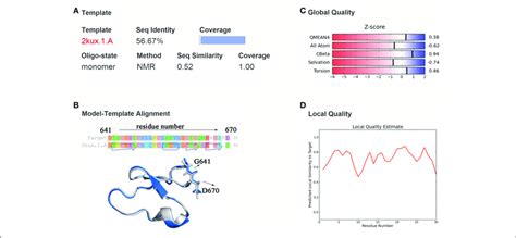 Homology Modeling Results A Information About Template Sequence
