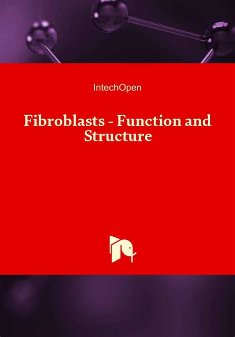 Fibroblasts Function And Structure Intechopen