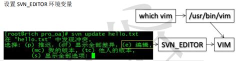 Linux环境下解决svn的冲突方法linux Svn 冲突解决 Csdn博客 Linux环境下解决svn的冲突方法linux Svn 冲突解决 Csdn博客