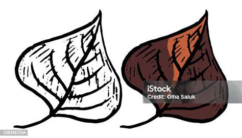 린든 잎의 낙서 가을 낙엽의 현실적인 잉크 스케치 손으로 그린 벡터 그림 흰색으로 분리된 검은색 윤곽및 색상 요소 집합입니다 디자인 장식 인쇄 카드 스티커용 0명에 대한