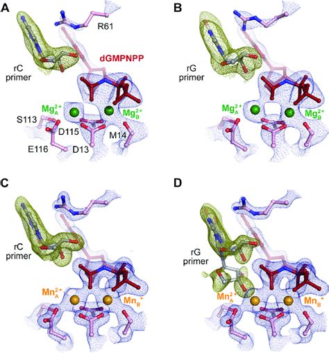 structural comparison between reactant states of incorrect nucleotide