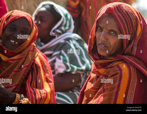 Somali Tribe In Kenya The Somali Of Kenya Are Older Than You Think Uyzg